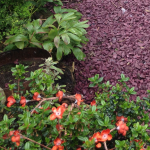 Home - Eco Rubber Chippings